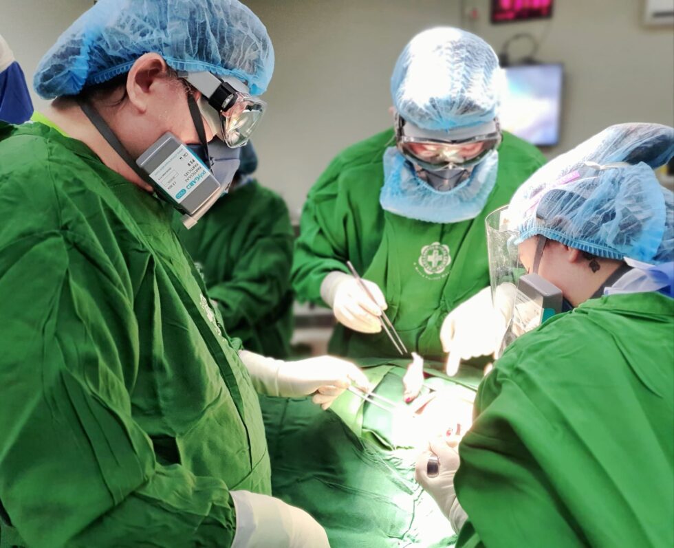 All Packages - De Los Santos Medical Center